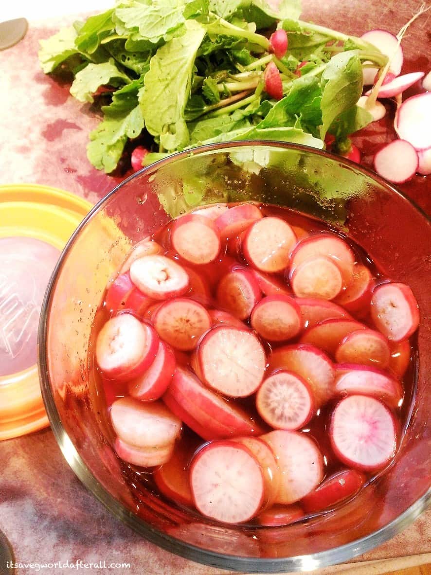 Sherry Pickled Radishes - It's a Veg World After All
