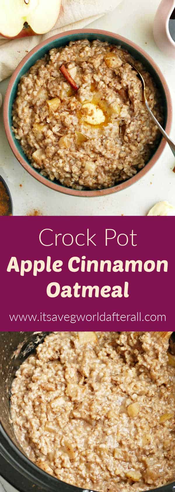 Crock Pot Apple Cinnamon Oatmeal - It's a Veg World After All®