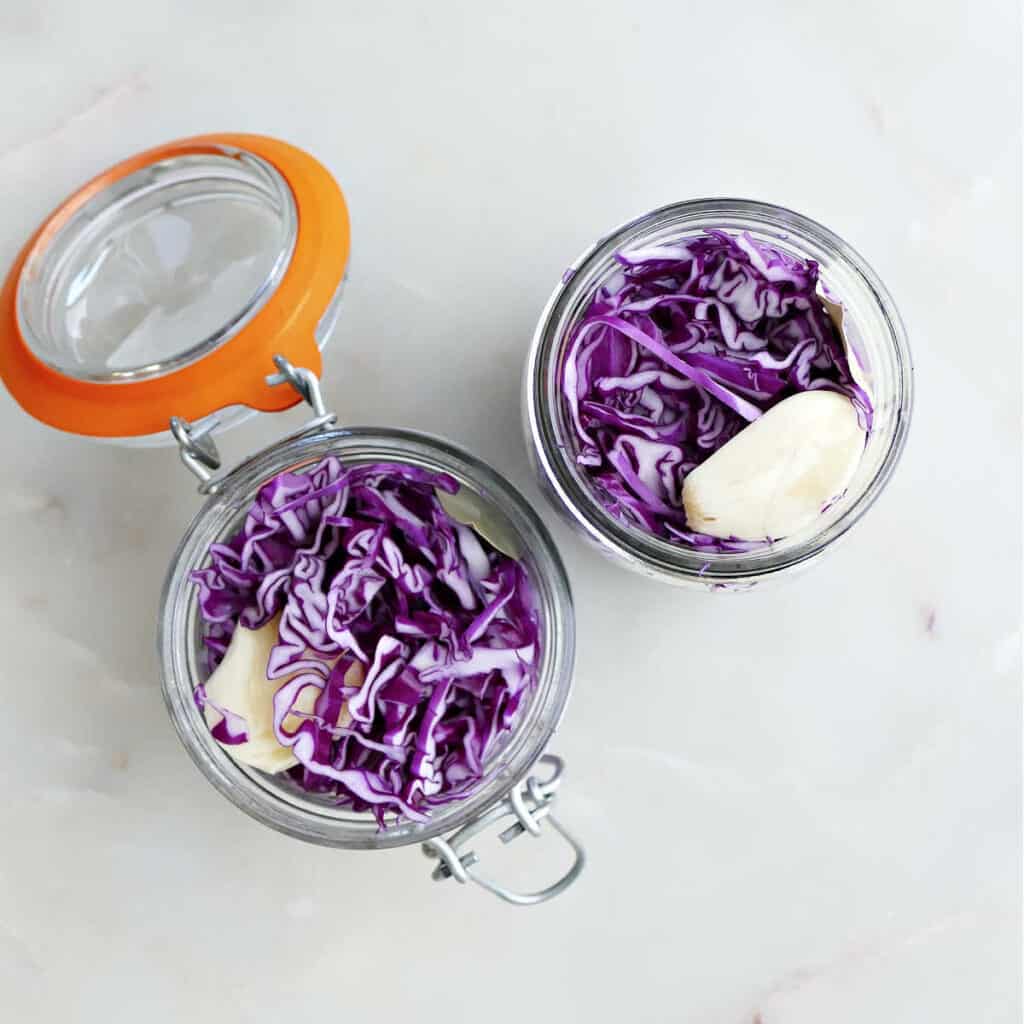 Quick Pickled Red Cabbage - It's a Veg World After All®
