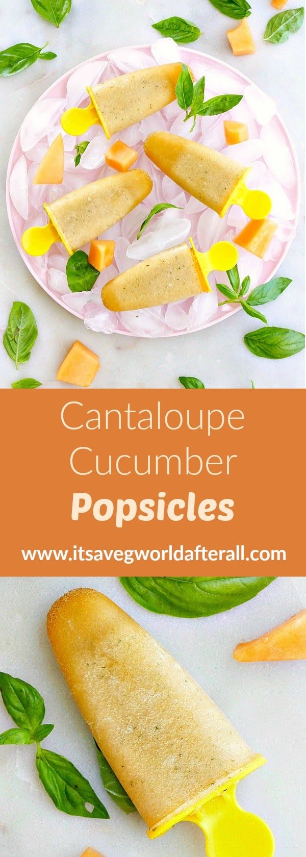 Cucumber Melon Fruit and Vegetable Popsicles - It's a Veg World After All®