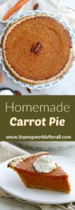 Homemade Spiced Carrot Pie - It's a Veg World After All