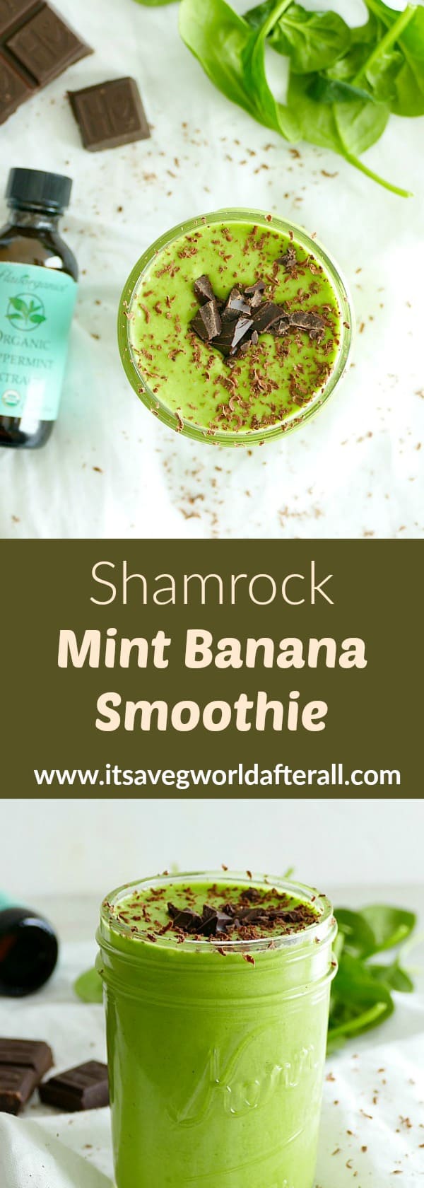 Healthy Shamrock Mint Banana Smoothie - It's a Veg World After All®