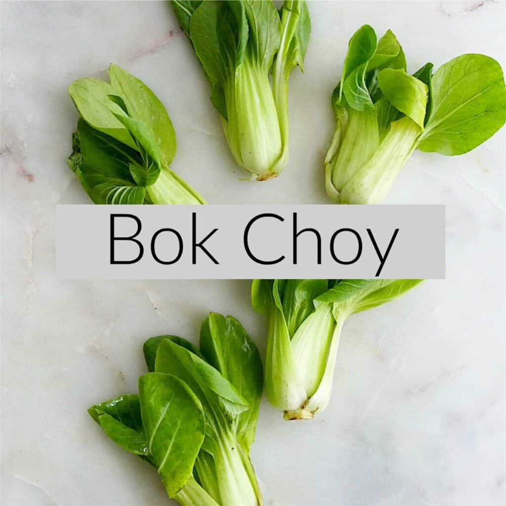 Recipes By Vegetable - It's a Veg World After All®