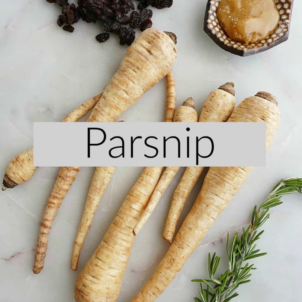 Seasonal Vegetable Recipes - It's a Veg World After All®