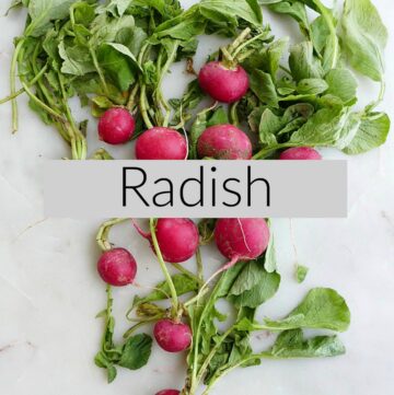 Seasonal Vegetable Recipes - It's a Veg World After All®