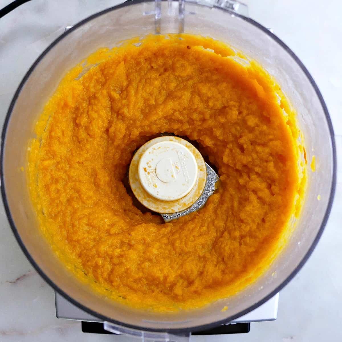 How to Make Butternut Squash Puree - It's a Veg World After All®