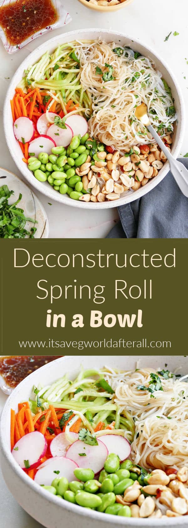 Deconstructed Spring Roll in a Bowl - It's a Veg World After All®