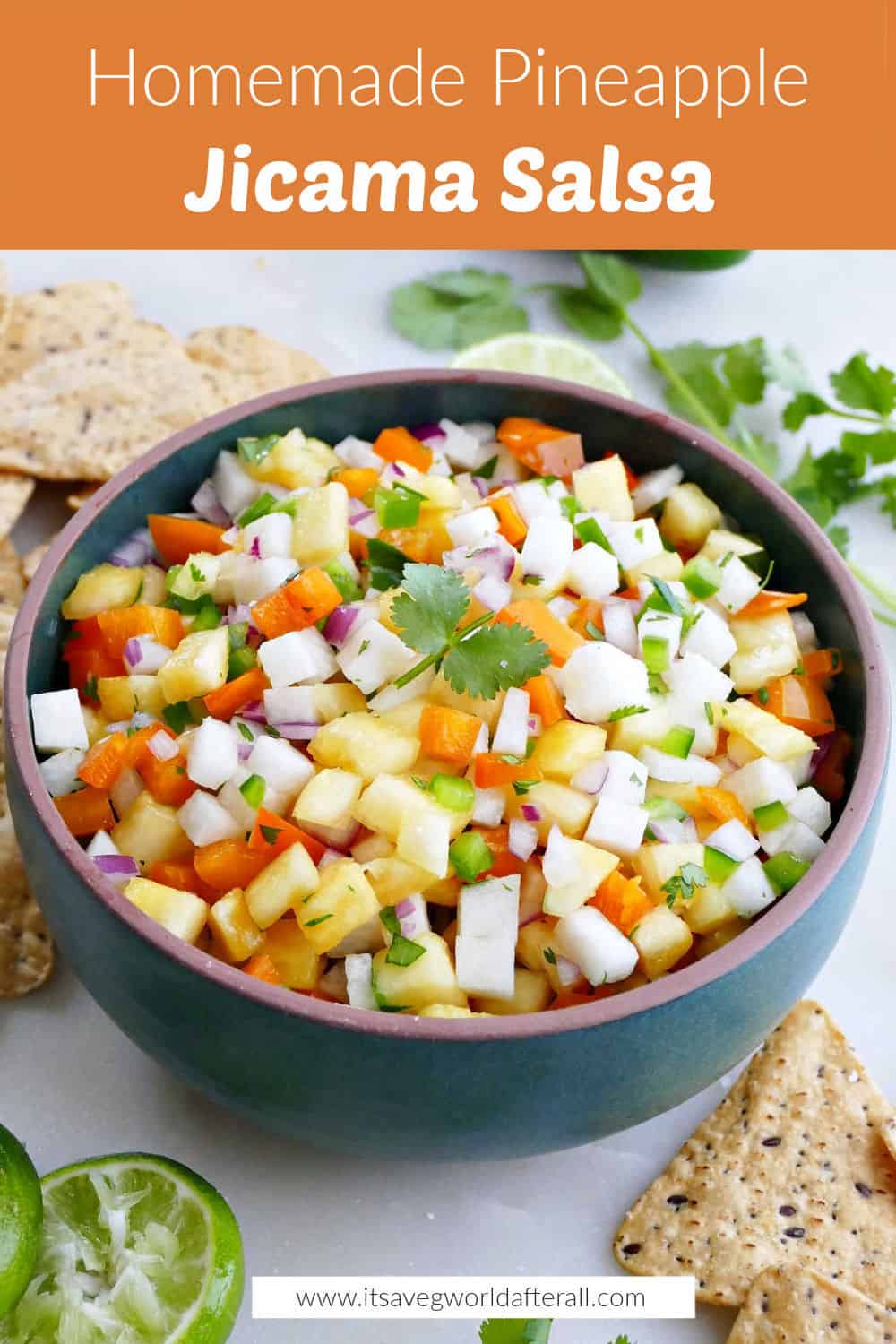 Homemade Pineapple Jicama Salsa - It's a Veg World After All®