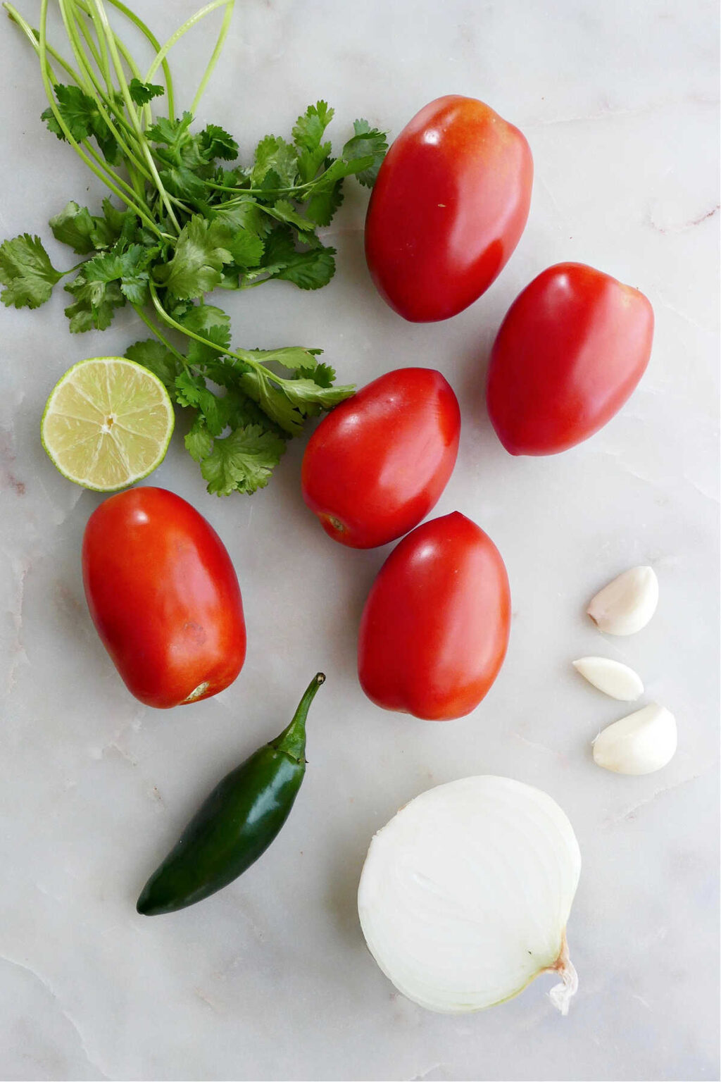 Fresh Garden Salsa Recipe - It's a Veg World After All®