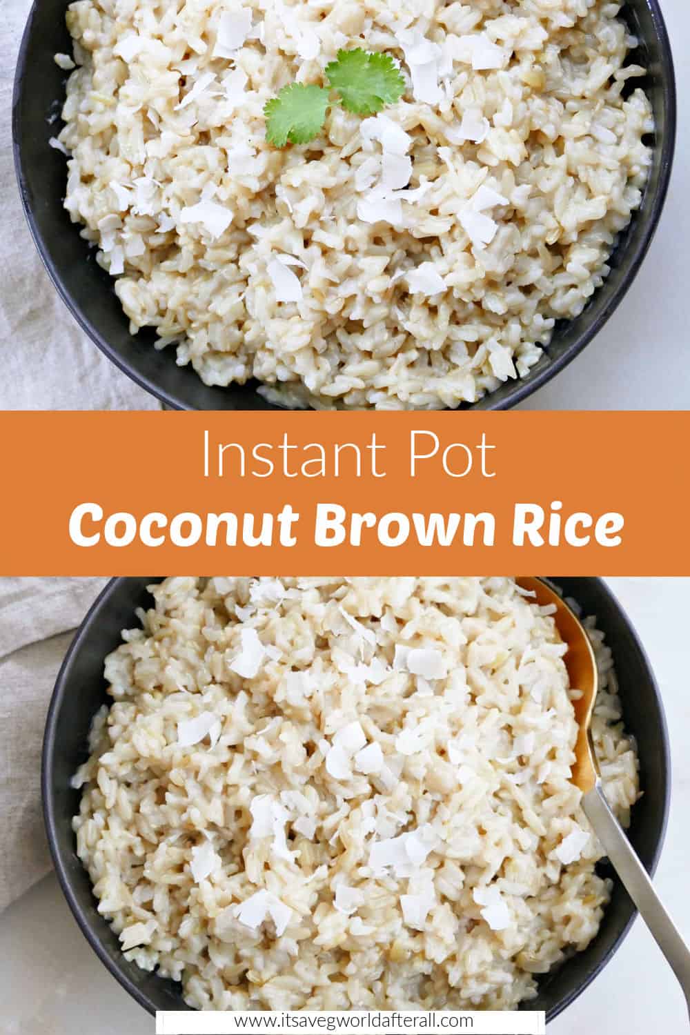 Instant Pot Coconut Brown Rice - It's a Veg World After All®