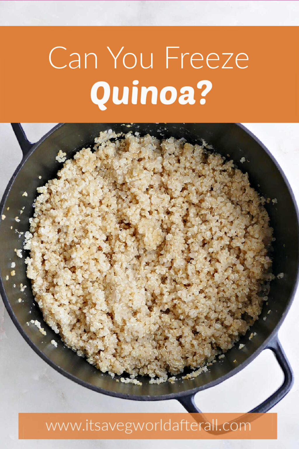 Can you freeze cooked quinoa? - It's a Veg World After All®