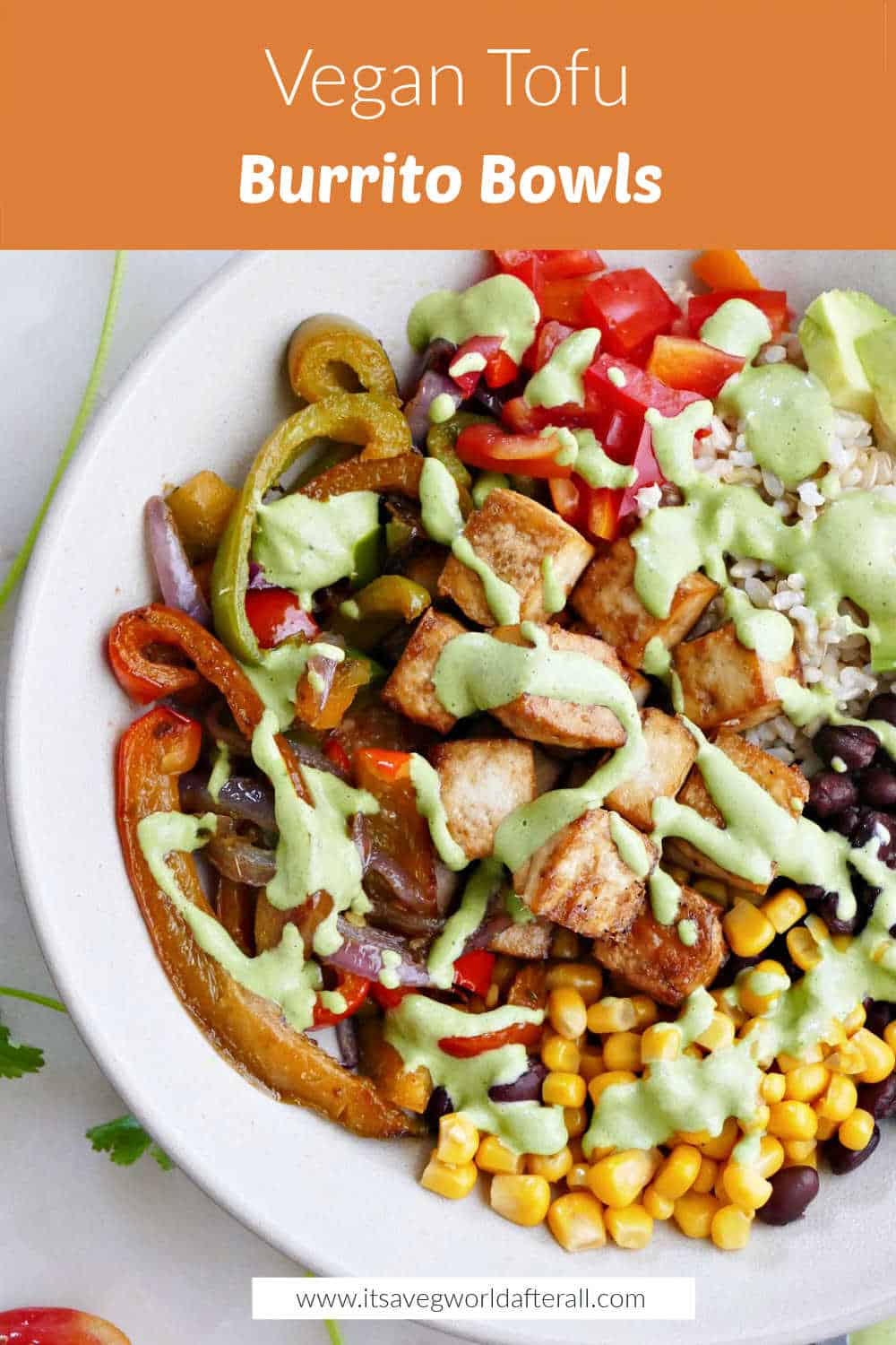 Tofu Burrito Bowls - It's a Veg World After All®
