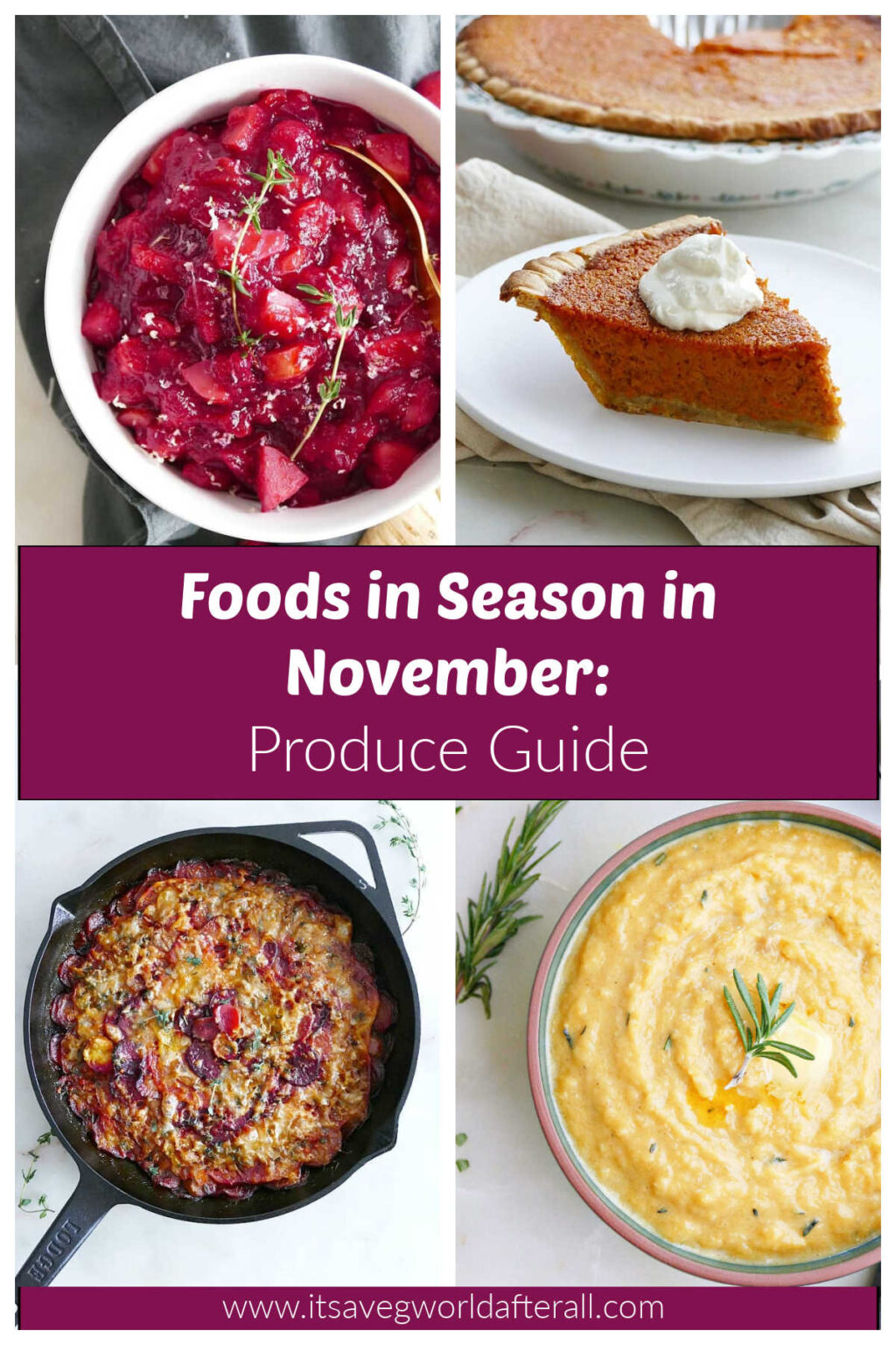 Foods in Season in November - It's a Veg World After All®
