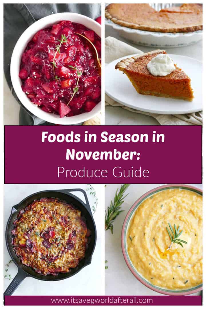 Foods in Season in November - It's a Veg World After All®