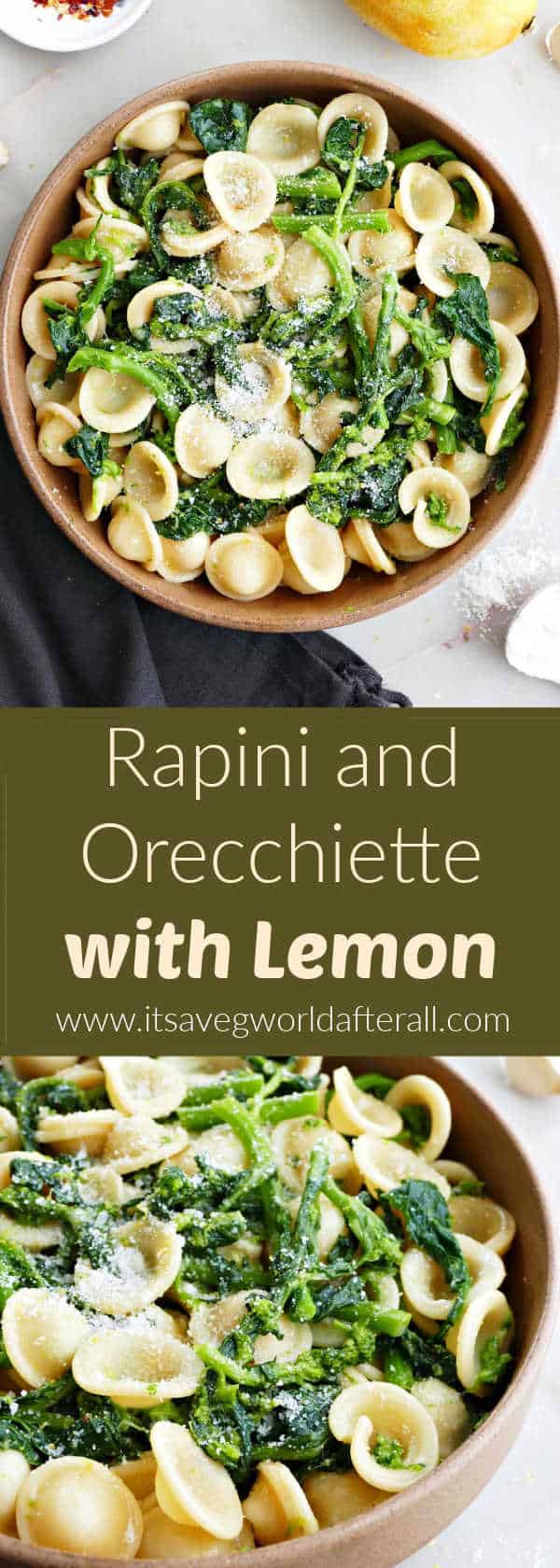 Lemon Rapini Pasta (Vegetarian) - It's a Veg World After All®