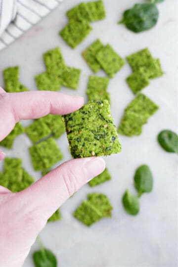 Spinach Veggie Crackers Recipe - It's a Veg World After All®