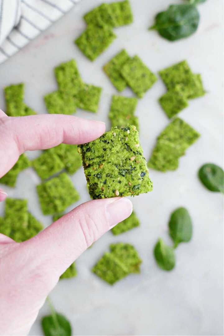 Spinach Veggie Crackers Recipe - It's a Veg World After All®