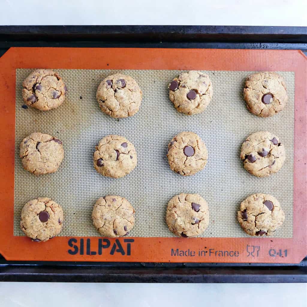 Healthy Date Cookies - It's a Veg World After All®